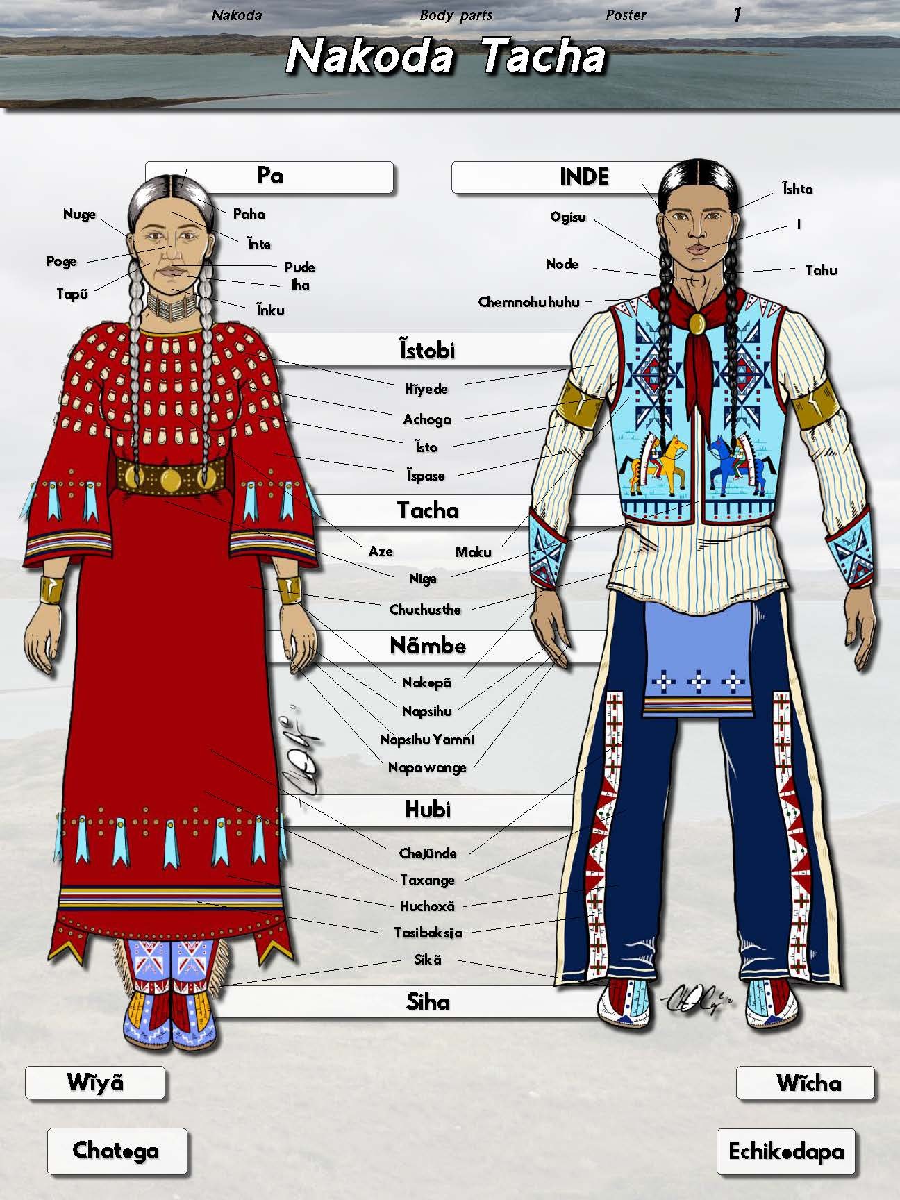 Store - Page 1 - Native Teaching Aids
